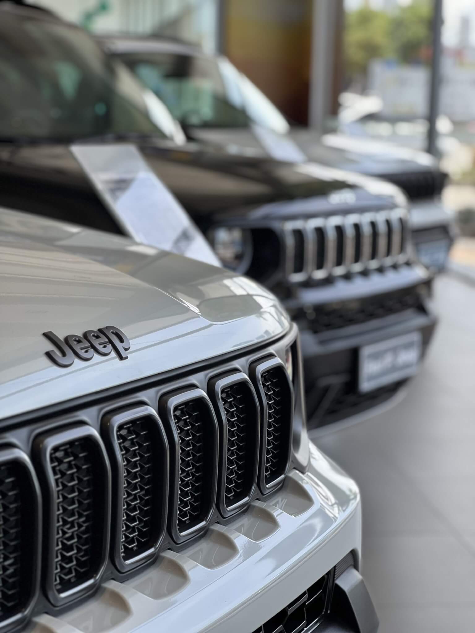 Fiori Jeep com semana de ofertas e condições especiais. É a Jeep Week ...